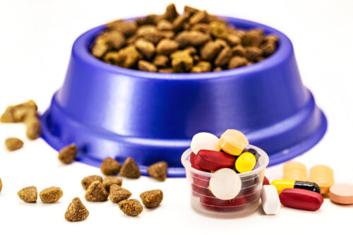 500 Mg Metronidazole For Dogs- Dosage, Benefits & Side Effects