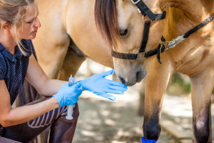 Baycox For Horses: - Effective Coccidiosis Treatment And Dosage