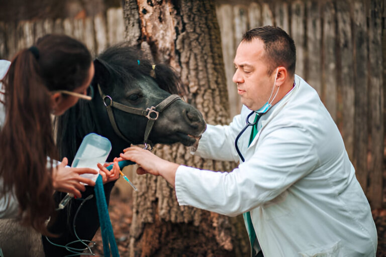 Diclazuril Dose for Horses: Dosage & Administration Guide